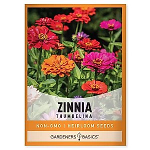 Zinnia Seeds for Planting Outdoors Flowers (Thumbelina) - Flower Seed Packet Annual Flower Heirloom, Non-GMO Variety- 800mg Seeds Great for Summer Seeds for Flower Gardens by Gardeners Basics