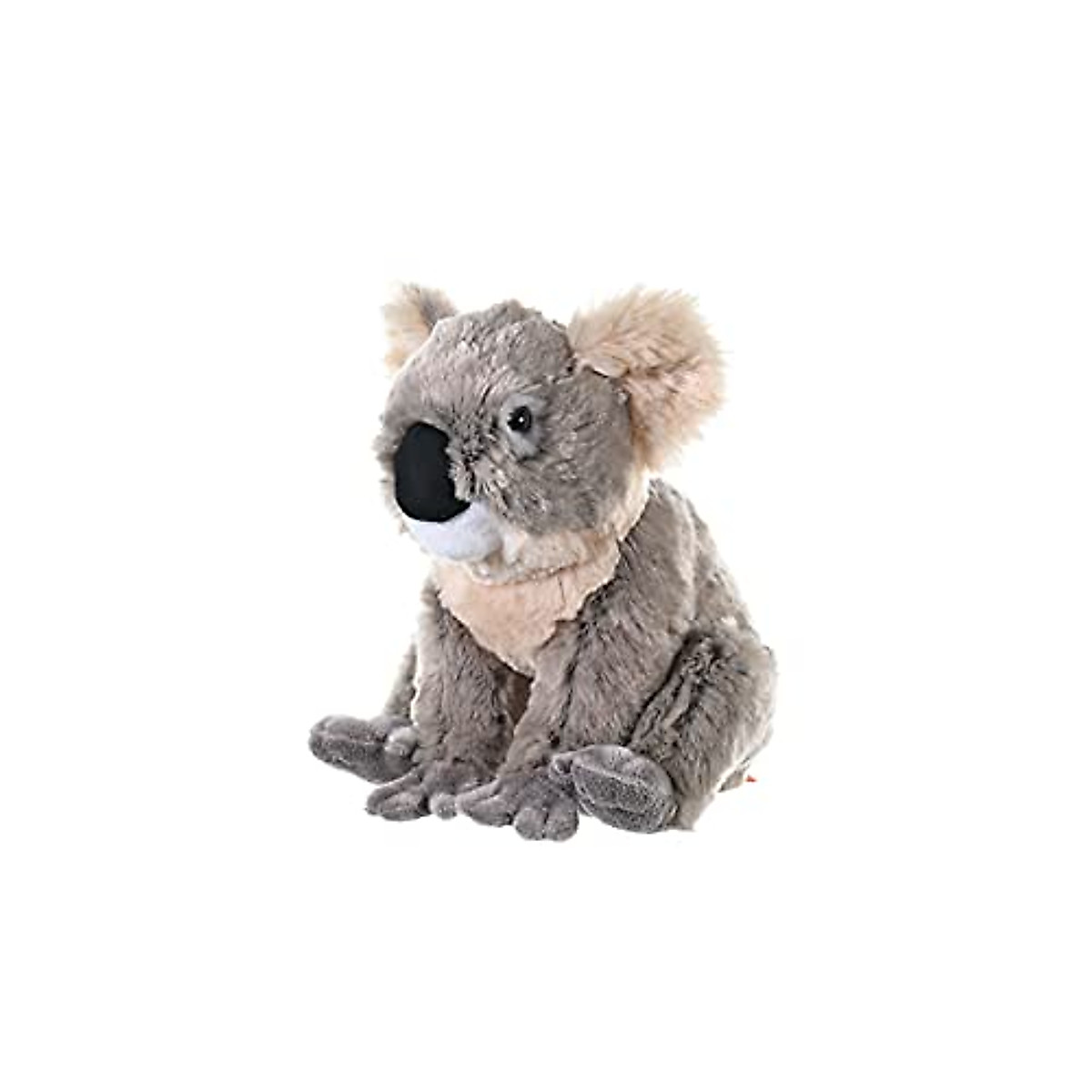 Wild Republic Koala Plush, Stuffed Animal, Plush Toy, Gifts for Kids, Cuddlekins 12"