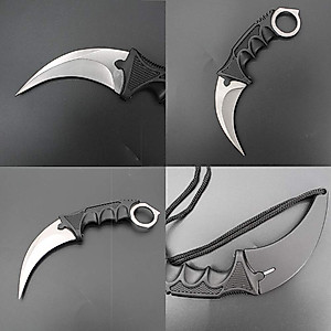 WeTop Karambit Knife, CS-GO for Hunting Camping Fishing and Field Survival, Stainless Steel Fixed Blade Tactical Knife with Sheath and Cord (Silver).