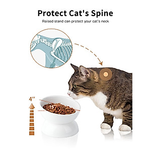 ABRUTY Cat Water Bowl, 16 OZ Ceramic Elevated Cat Dish, 15° Tilted and Raised Pet Food Bowl, Anti Vomiting Protect Pets' Spines and Whisker Fatigue