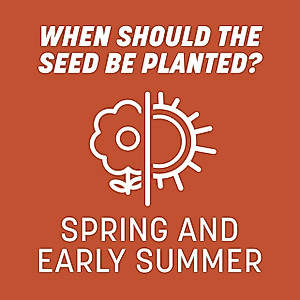 Pennington Bermudagrass Grass Seed 15 lb