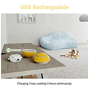 【2023 Newest】Interactive Dog Toy Ball with Remote Control and LED Flash Light, Rechargeable Wicked Ball Made of Durable Safe TPU, Motion Activated Rolling Ball Toys for Dogs/Cats with 2 Work Modes