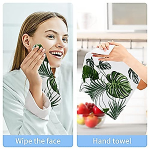 ALAZA Palm Leaves Jungle Monstera Tropical Towels Cotton Washcloths Set,Soft Absorbent Quick Dry Face Cloths,Multi-Purpose Fingertip Towels for Bathroom,Hotel,Travel,12'' x 12'' (2 Pack)