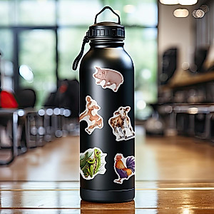 Pack 50 Pcs Farm Animal Stickers for Water Bottles Waterproof Laptop Luggage Computer Scrapbooking Teens Adults Girls Boys Cute Funny Aesthetic Sticker Packs Small Vinyl Decals