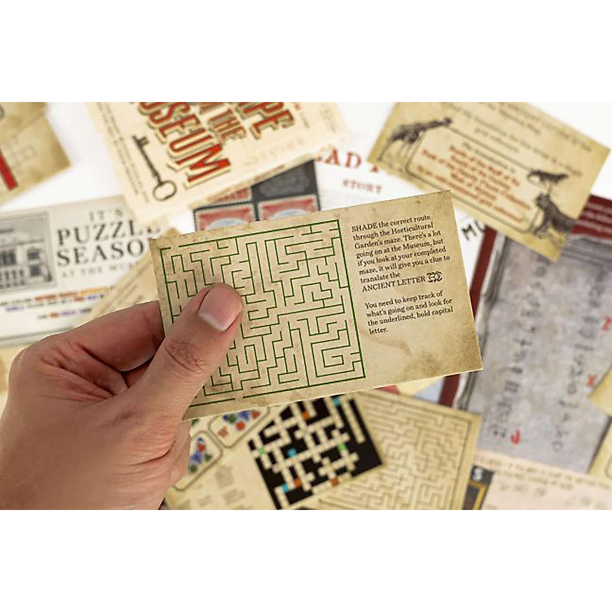 Professor Puzzle Escape from The Museum Escape Room Game