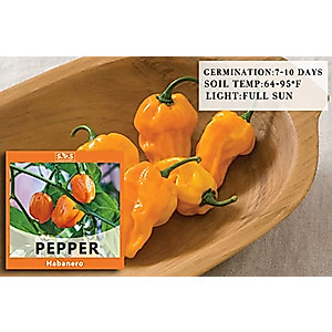 Hot Pepper Seeds for Planting - Pepper,Habanero Seeds, Red, Yellow Pepper Habanero Seeds for Planting in Garden Non GMO, Heirloom Peppers Seeds (Pepper,Habanero)