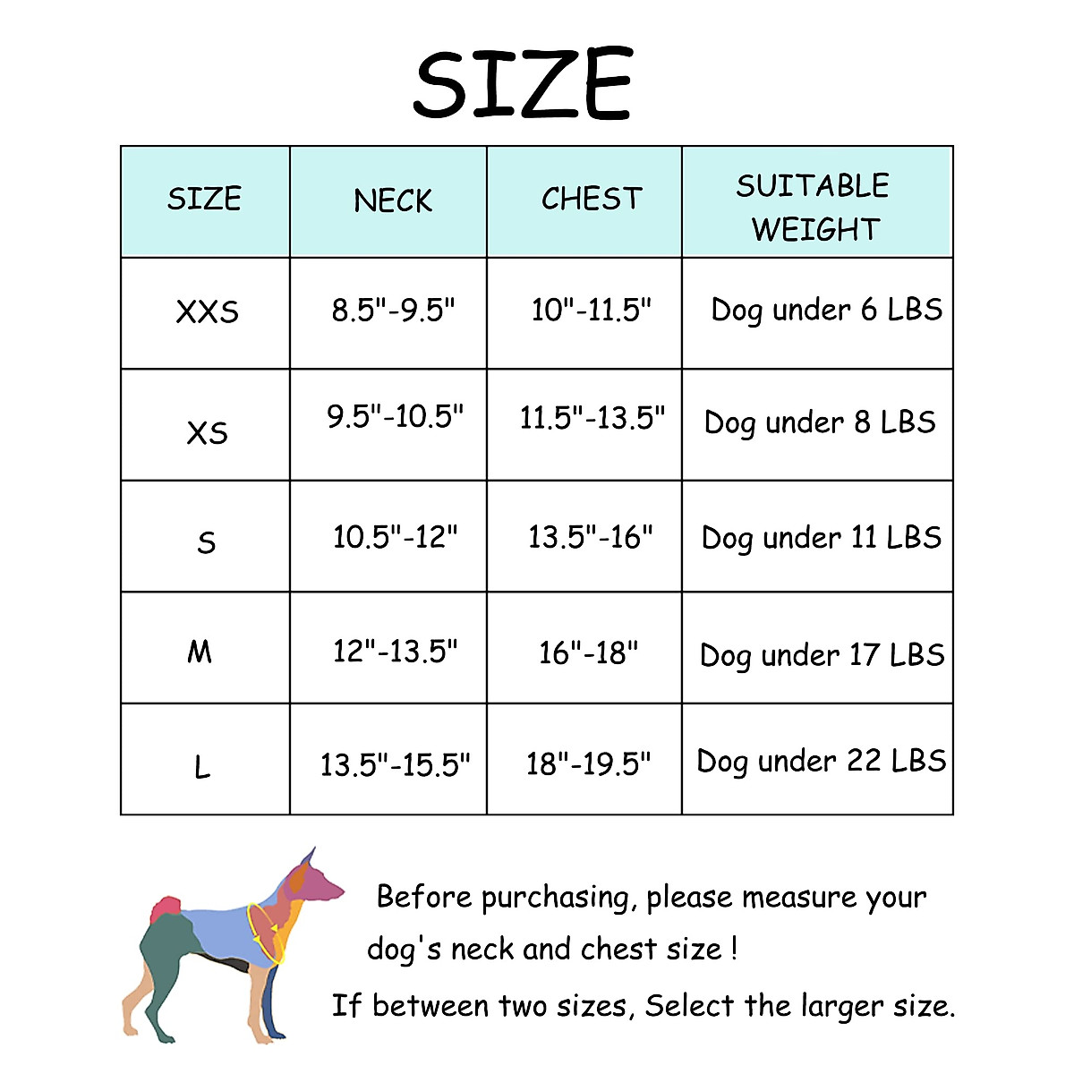 Petank Green Dog Harness (XS), No Pull, Puppy Harness and Leash Set, Jacquard Mesh, Easy Walk Dog Harness for Small Medium Dogs, Reflective Strip, Training, Running, Walking