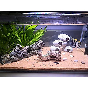 hygger Small Aquarium Ornament Poly Resin Wood Trunk Log Fish Tank Decoration for up to 20 Gallon Tank Betta Fish Accessories Hideout Cave(Tree Log)