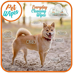 Txakur pet Wipes for Dogs and Cats Hypoallergenic Natural Products for Cleansing from Nose to Tail 400ct 8x7in Wipes in Packs of 100 Wipes Perfect for Grooming and Cleaning Made in The USA