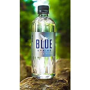 Blue Spring Living Water, Pure Premium Natural Spring Water, pH balance of 7.1-7.2, Bottled Spring Water, 16.9 Fl Oz, (Pack of 12)