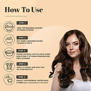 Just Jaivik Henna Powder (Lawsonia Inermis) for Hair - 100% Natural, USDA Certified Organic by OneCert Asia, No Chemicals or Additives, 227 Gms / 0.5 LB/ 8 Oz