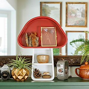 Floating Mushroom Shelf - Whimsical, Eccentric Cottagecore Decor - for Crystal and Cool Trinket Display - Cute, Funky and Unique Fairycore Aesthetic Shelves for Home, Kitchen, Bedroom and Nursery