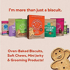 Buddy Biscuits Oven Baked Treats with Peanut Butter, Whole Grain - 16 oz. - Single Box (12500_Single)