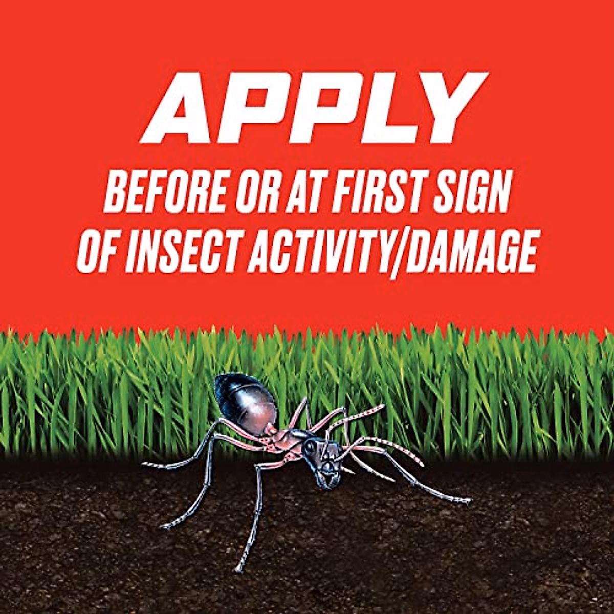 Ortho Outdoor Insect Killer Concentrate Kills Listed Ants, Spiders, Fleas & Ticks, 32 fl. oz.