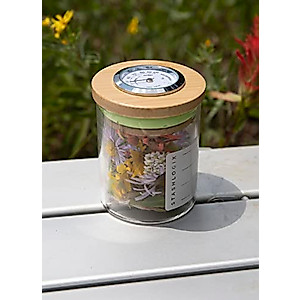 STASHLOGIX Bamboo SmartJar Dispensary Packaging - Airtight Odor Proof Container with Humidity Sensor (Small)