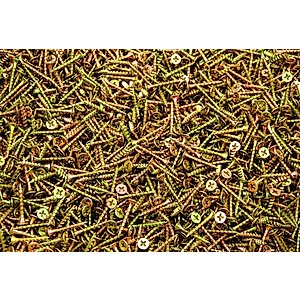 (4500) Phillips Bugle Head 6 x 1-1/8 Coarse Drywall Wood Screw - Yellow Zinc