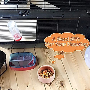 Fitlyiee Ceramic Chew-Resistant Hamster Bowl Dish for Hamsters Hedgehog Guinea Pig and More Small Animals (Pink)