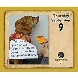 Dog Shaming 2021 Day-to-Day Calendar