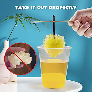 Crystal Growing Kit, STEM Projects for Kids Ages 8-12, Exciting Science Kits for Kids, DIY Educational Science Experiments Lab Specimens Toys Gifts for 7 8 9 10 Year Old Boys and Girls