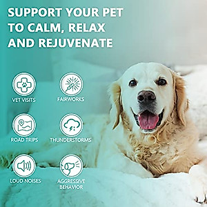 Max Potency Hemp Oil for Dogs & Cats - Help Anxiety Stress Pain Inflammation Arthritis Aggressive Relax Sleep Allergies Seizures Relief - Treats Chews Joint & Hip - Organic Pet Calming Drops - Non-GMO