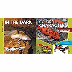 The Fascinating Facts Books for Kids 3 Book Box Set: 1,500 Incredible Facts about Animals, Oceans, and Science for Kids Ages 9-12