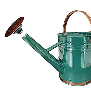 Metal Watering Can for Outdoor and Indoor Plants, Watering Can Decor, 1 Gallon (1 Gallon Green2)