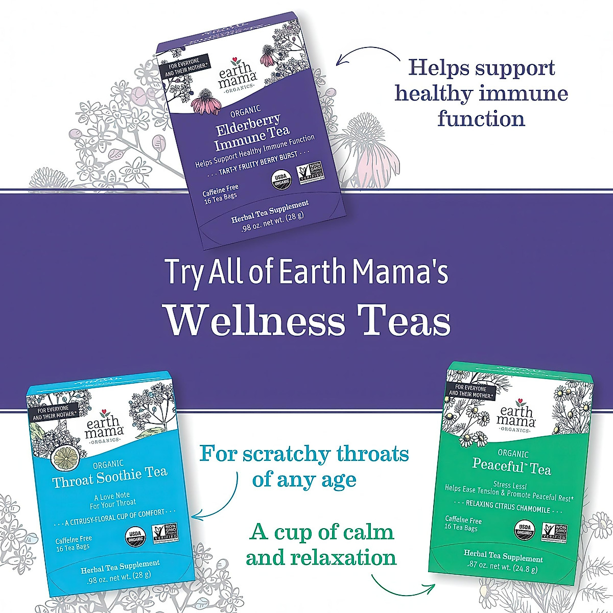 Earth Mama Organic Raspberry Leaf Tea Bags |Labor Tonic + Menstrual Support, 16 Teabags Per Box (3-Pack)