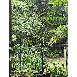 Garden Stakes,Connectable Plant Support Stakes,BOVITRO 40Pcs Steel Plant Stakes with 20 Connectors[16 Inches Each-Adjust Length Freely]