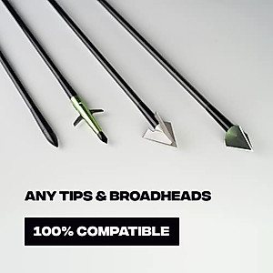 BALLISTA Sting Mini Crossbow Bolts Carbon Arrows with Field Tips, Half-Moon Nocks, Penetrator Inserts for Hunting Broadheads OD 6.0mm (Pack of 6) (13")