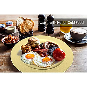 10 Inch Wheat Straw Flat Plastic Plates Set (6 Dinner Plates) - Dishwasher & Microwave Safe - Unbreakable Reusable Lightweight Eco Friendly & BPA Free Dinnerware - Dishes for Kids Toddlers & Adults