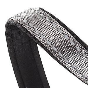 Embark Adventure Dog Collar with Soft Padded Neck, Matching Set with The Adventure Leash and Harness, Pet Collars for Dogs & Most Breeds - Dog Collar for Small Dogs (Small Dog Collars, Black)