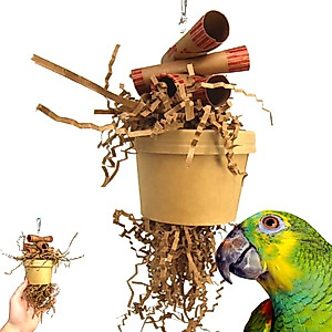 Bonka Bird Toys 3868 Money Pot Small Medium Bird Toy Treat Box Foraging Paper Chew Coin Tube Shred Cockatiel Parakeet Conures and Other Similar Birds