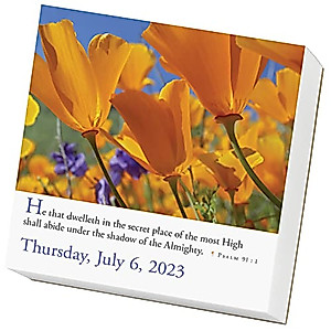 365 Bible Verses-A-Year Page-A-Day 2023: Timeless Words From the Bible to Guide, Comfort, and Inspire