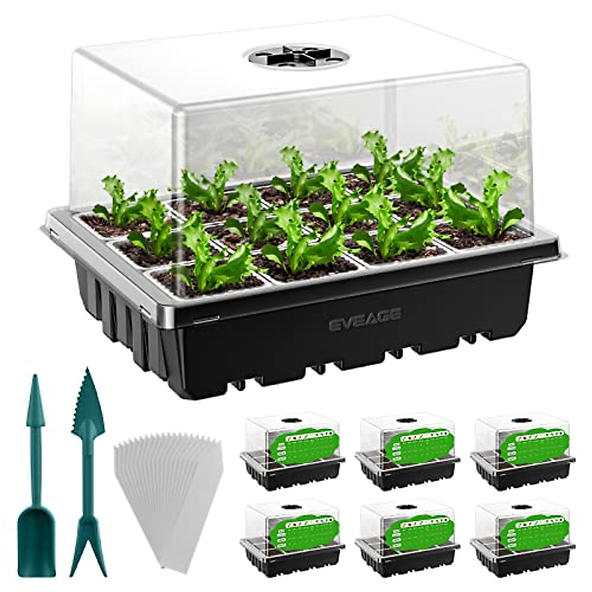 EVEAGE Seed Starter Tray-7 Packs Thicker Seed Starter Kit with 4.4" High Lid and Enlarged Independent Cells (4.5 * 4.5CM) Perfect for Replanting, Seedling Starter Trays with Humidity Vented Domes