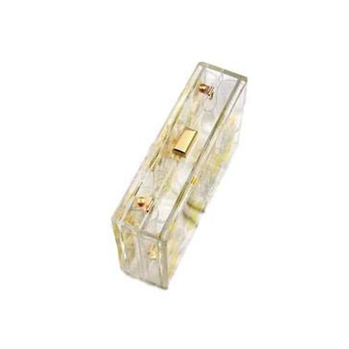 Transparent Floral Imprinted Acrylic Box Clutch