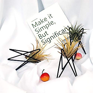 Pack of 4 Air Plant Holder Tillandsia Base, Modern Geometric Metal Air Plant Stand Airplant Display Rack, Tabletop Big Streptophylla Plant Display Table Hand for Home Office Decoration Supplies