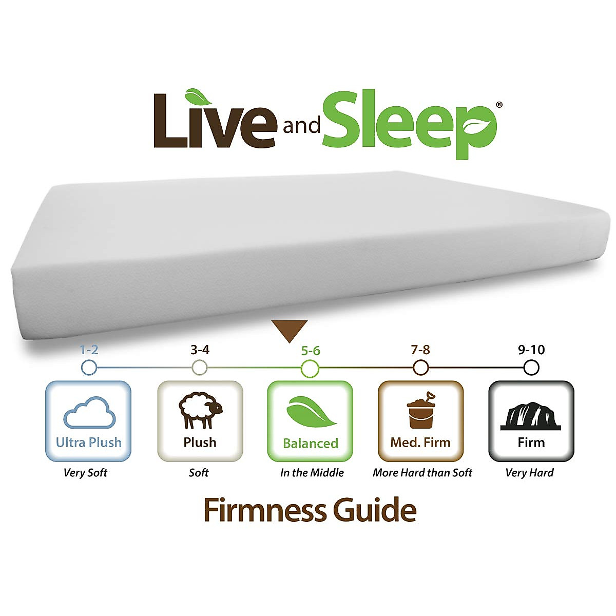 Live and Sleep Classic - Memory Foam Mattress - 12-Inch - Twin-XL Size - Cool Bed in a Box -Medium Plush Firmness, Advanced Support - CertiPUR Certified - Twin Extra-Long