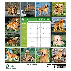 2014 Golden Retrievers - American Kennel Club Wall