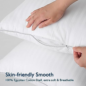 Dafinner Pillow (King)