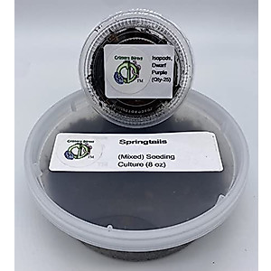 Dwarf Purple Isopods & Springtails, by Critters Direct