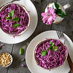 Organic Cabbage Seeds (Red Acre) - Approx 750 Seeds - Certified Organic, Non-GMO, Open Pollinated, Heirloom, USA Origin