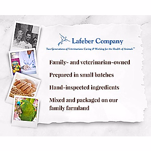 LAFEBER'S Fruit Delight Avi-Cakes Pet Bird Food, Made with Non-GMO and Human-Grade Ingredients, for Parrots (8 oz Pack of 1)