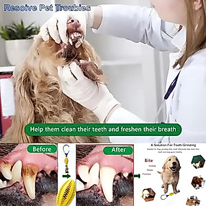 Dog Ball Rope Toy Interactive for Medium Dog for Treat Dispensing, Durable Dog Balls for Teeth Cleaning/IQ Training (Not for Aggressive chewers)