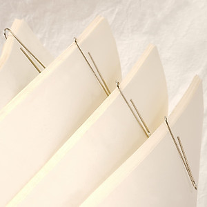 DANRONG Silver Jumbo Paper Clips, 270pcs 2 Inch (50 mm) Paper Clip, Large Paperclips Great for Office School and Personal Use(Jumbo, Sliver)