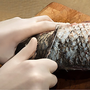 TRONEX 1000 Pcs XS - XL Natural Rubber Latex Disposable Gloves Powder-Free Textured Food Safe White XL - XS Latex Gloves