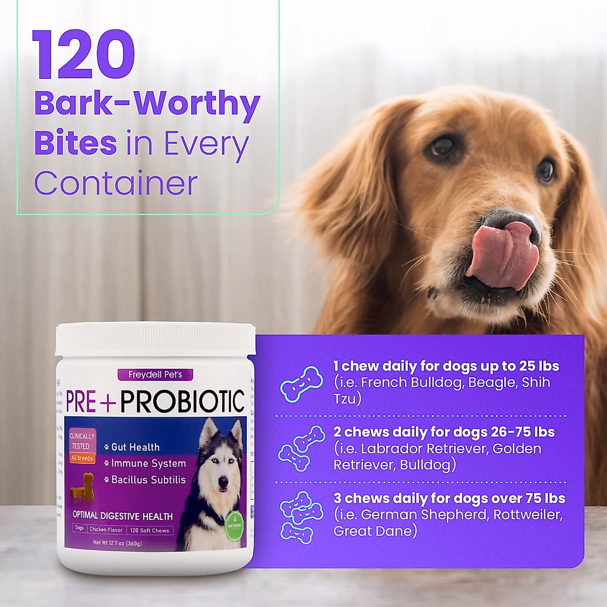 FREYDELL Pets Probiotics for Dogs Dog Upset Stomach Relief Dog probiotic, Fiber Supplement for Dogs, Yeast Infection Treatment for Dogs & Dog Diarrhea Medication, Probiotic for Dogs of All Ages.