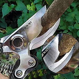 Kynup Pruning Shears for Gardening, Gardening Shears Heavy Duty, Cutting Shears Garden,Hedge Clippers, Rose Pruning Shears, Hand Clippers Gardening (Red Black)