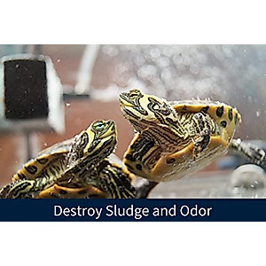 Snout & Shell Liquid Aquarium Cleaner for Turtles - Concentrated Bottle Treats 960 Gallons - Reduce Tank Maintenance & Improve Water Safety, 16 Oz