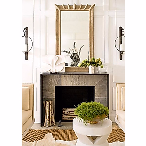 Wilson Decorative White Birch Logs, Natural Bark Wood Home Décor (Set of 12) - 15.5"-17.5" in Length 1"-1.5" Dia.