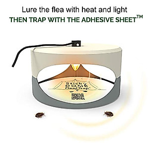 ASPECTEK Trapest Sticky Dome Flea Bed Bug Trap with 2 Glue Discs, Odorless Non-Poisonous and Natural Flea Killer Trap Pad, Pets, Children and Family Friendly, 220V Flea Trap